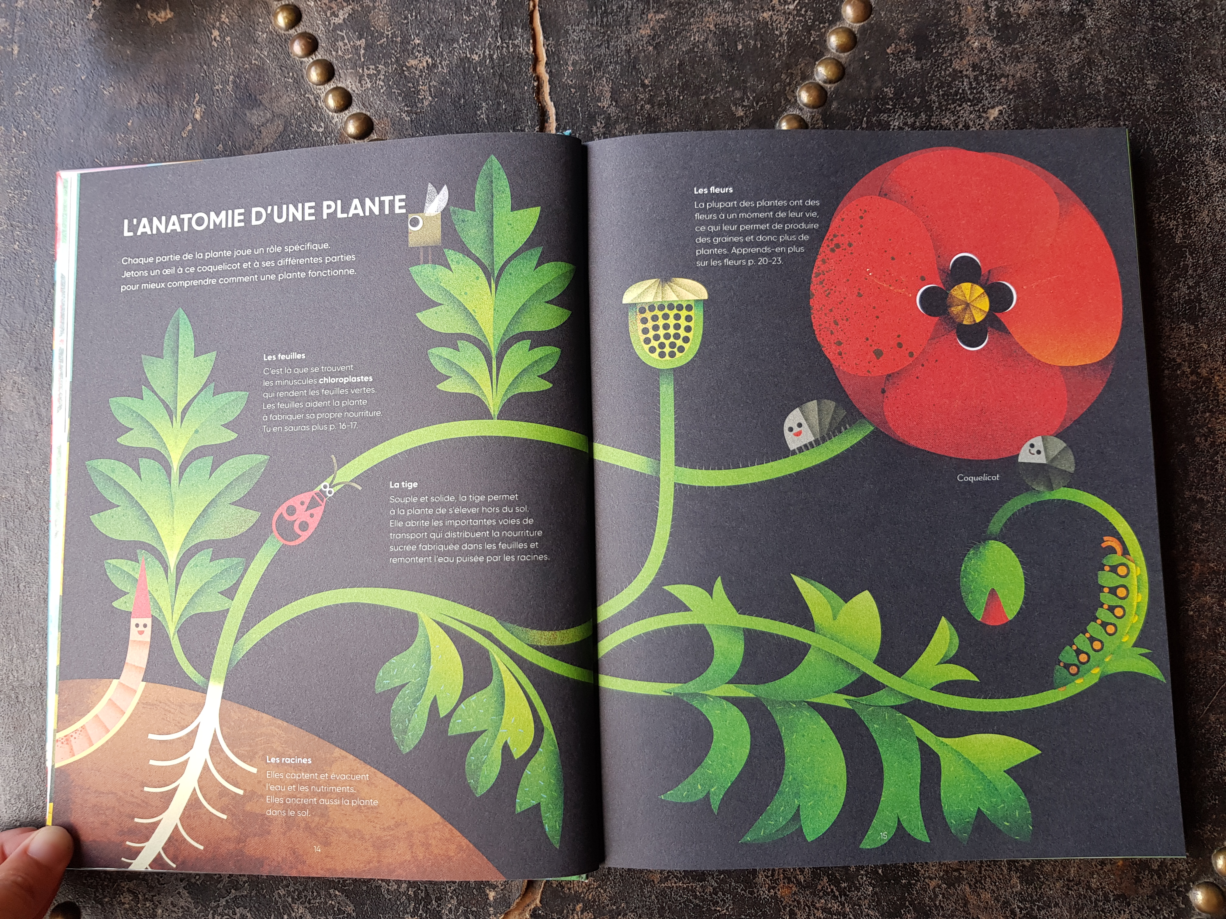 Merci les plantes ! | Escale Livres